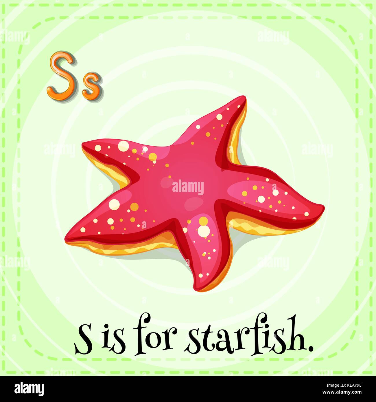 Flash card letter S is for starfish Stock Vector Image & Art - Alamy