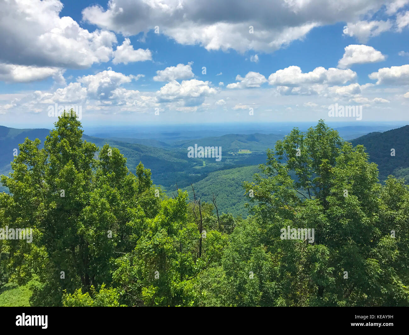 View from the tower at Frozen Head State Park Stock Photo - Alamy