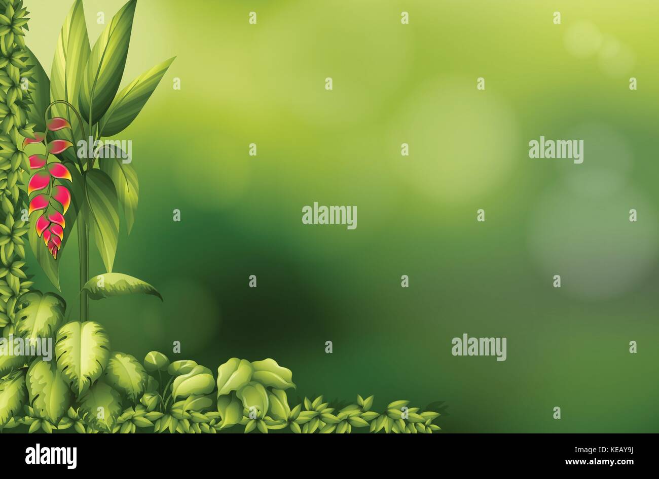 Spring background with leaves and flower Stock Vector Image & Art - Alamy
