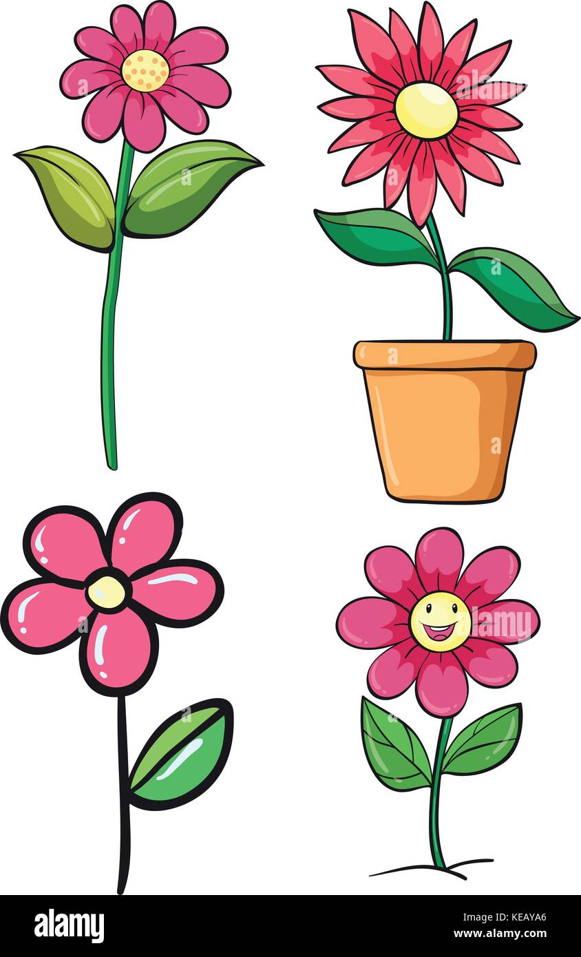 Set of four pink flowers on a white background Stock Vector Image & Art ...