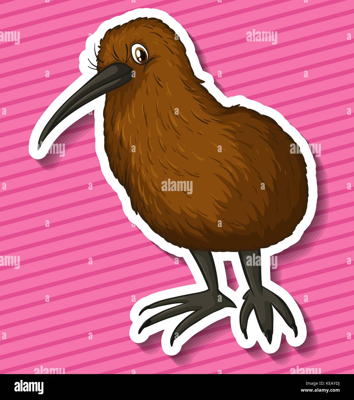 Kiwi New Zealand Stock Vector Images - Alamy