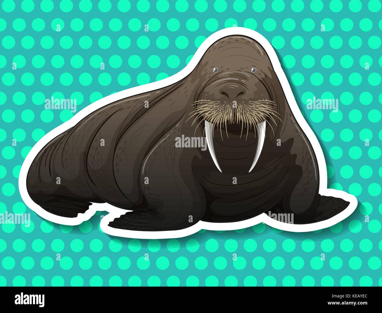 Close up polka dot Stock Vector Images - Alamy