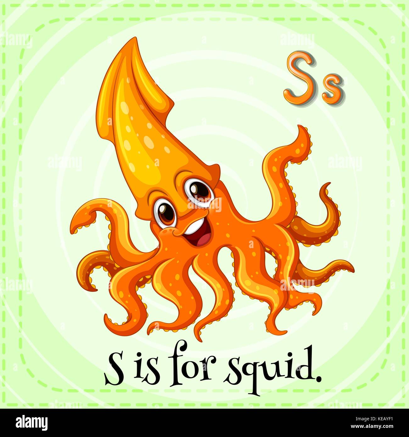 Flashcard alphabet S is for squid Stock Vector Image & Art - Alamy