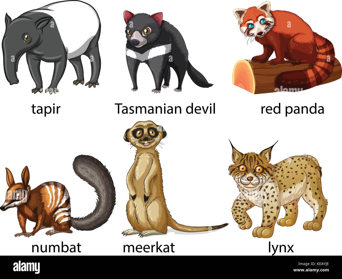 Illustration of six different kind of animals Stock Vector Image & Art ...