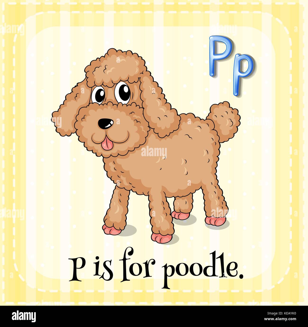 Flashcard letter P is for poodle Stock Vector Image & Art - Alamy