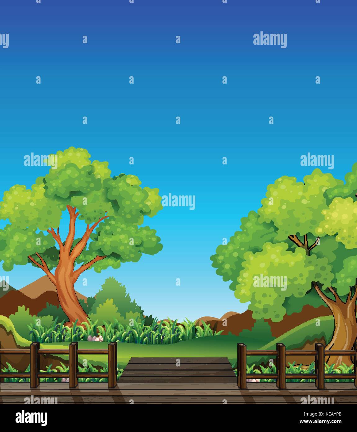 Bridge Tropical Rainforest Stock Vector Images Alamy