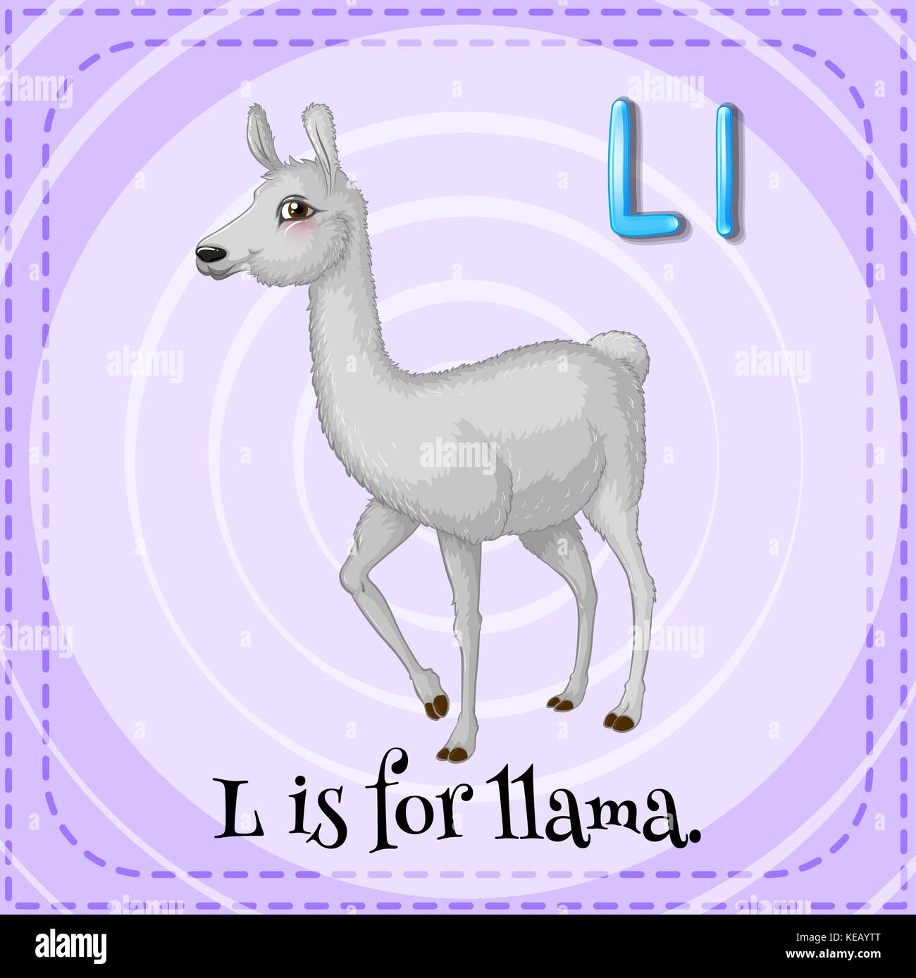 Flashcard letter L is for llama Stock Vector Image & Art - Alamy