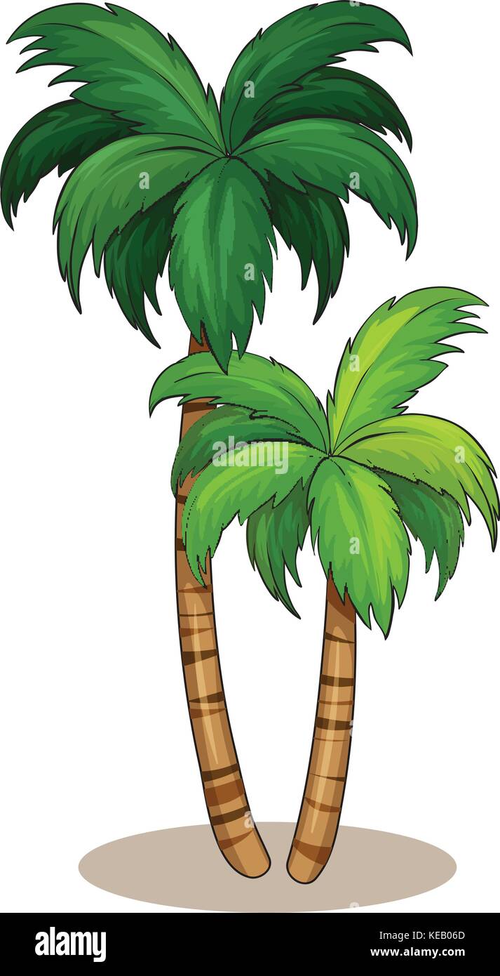 Close up on palm Stock Vector Images - Alamy