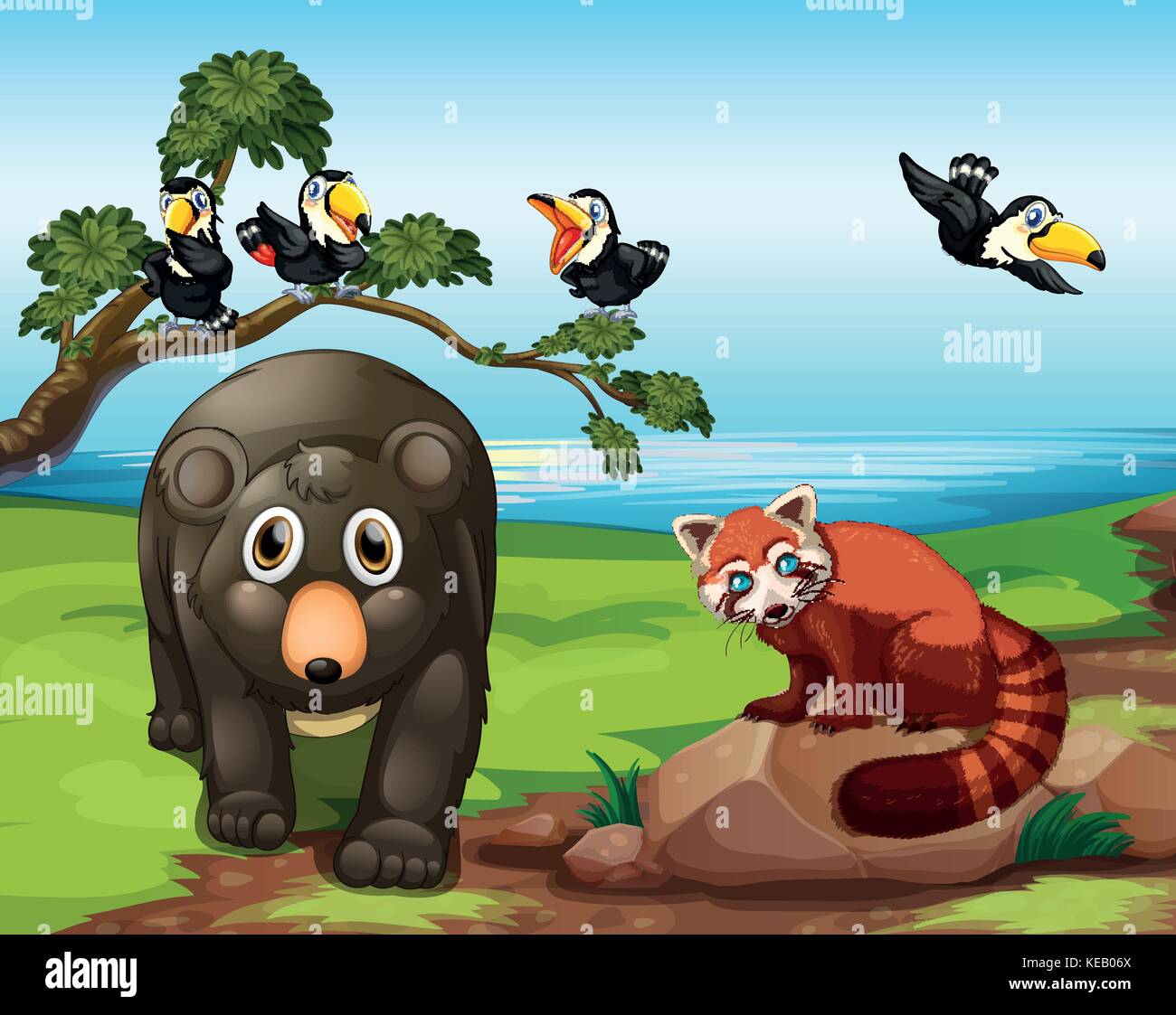 Real Forest Animals Together