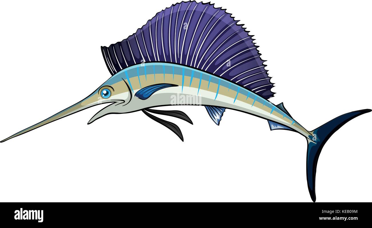 Illustration of a close up swordfish Stock Vector Image & Art - Alamy