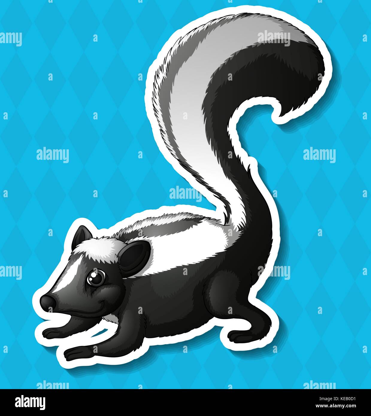 Closeup happy skunk with blue background Stock Vector Image & Art - Alamy