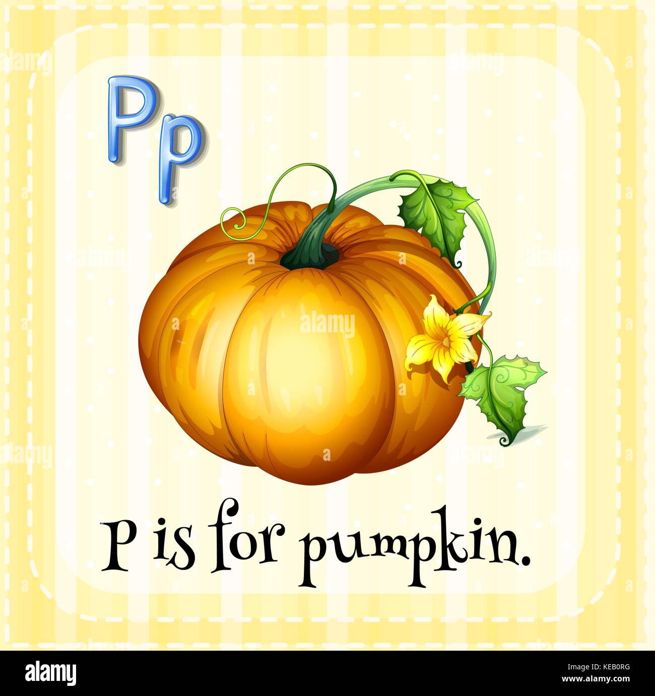 Flashcard letter p is for pumpkin Stock Vector Image & Art - Alamy