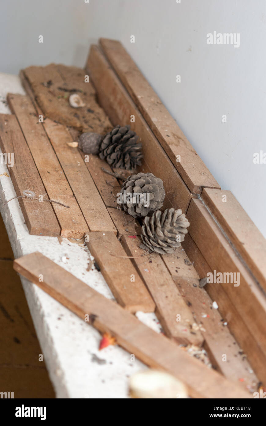 Abandoned home interior with objects on the floor - clothes and ...