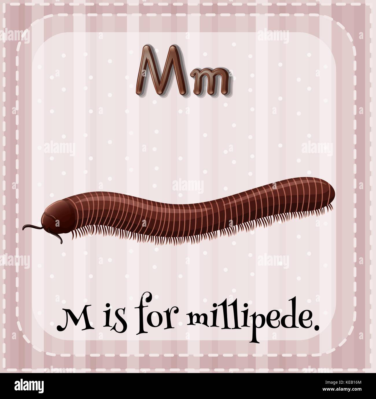 Flashcard letter M is for millipede Stock Vector Image & Art - Alamy