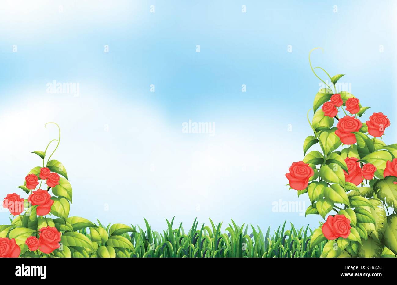 Red roses in the field Stock Vector Image & Art - Alamy
