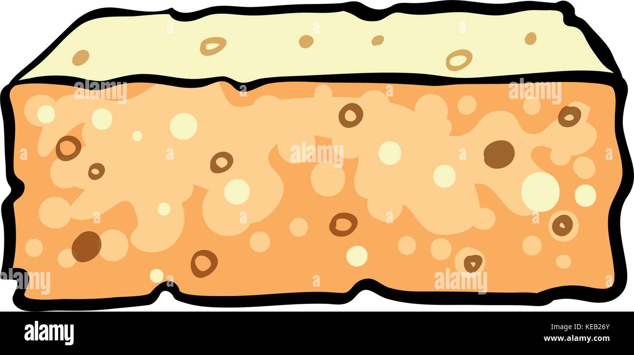 Sponge up close Stock Vector Images - Alamy
