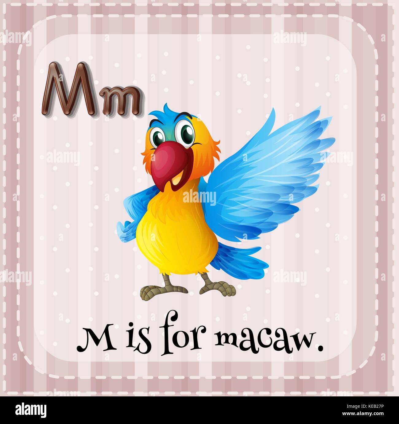 Parrot macaw children hi-res stock photography and images - Alamy