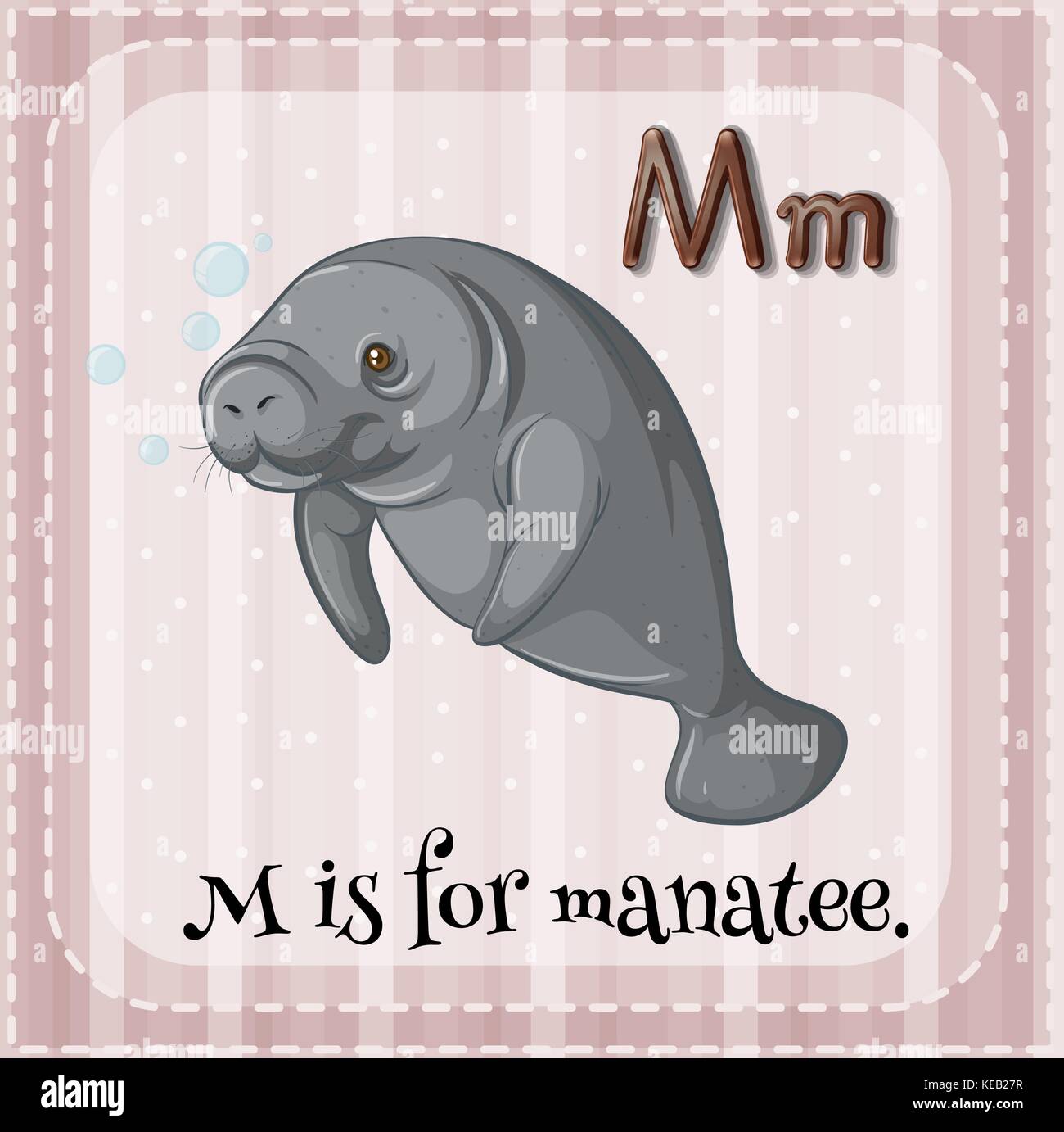Flashcard letter m is for manatee Stock Vector Image & Art - Alamy