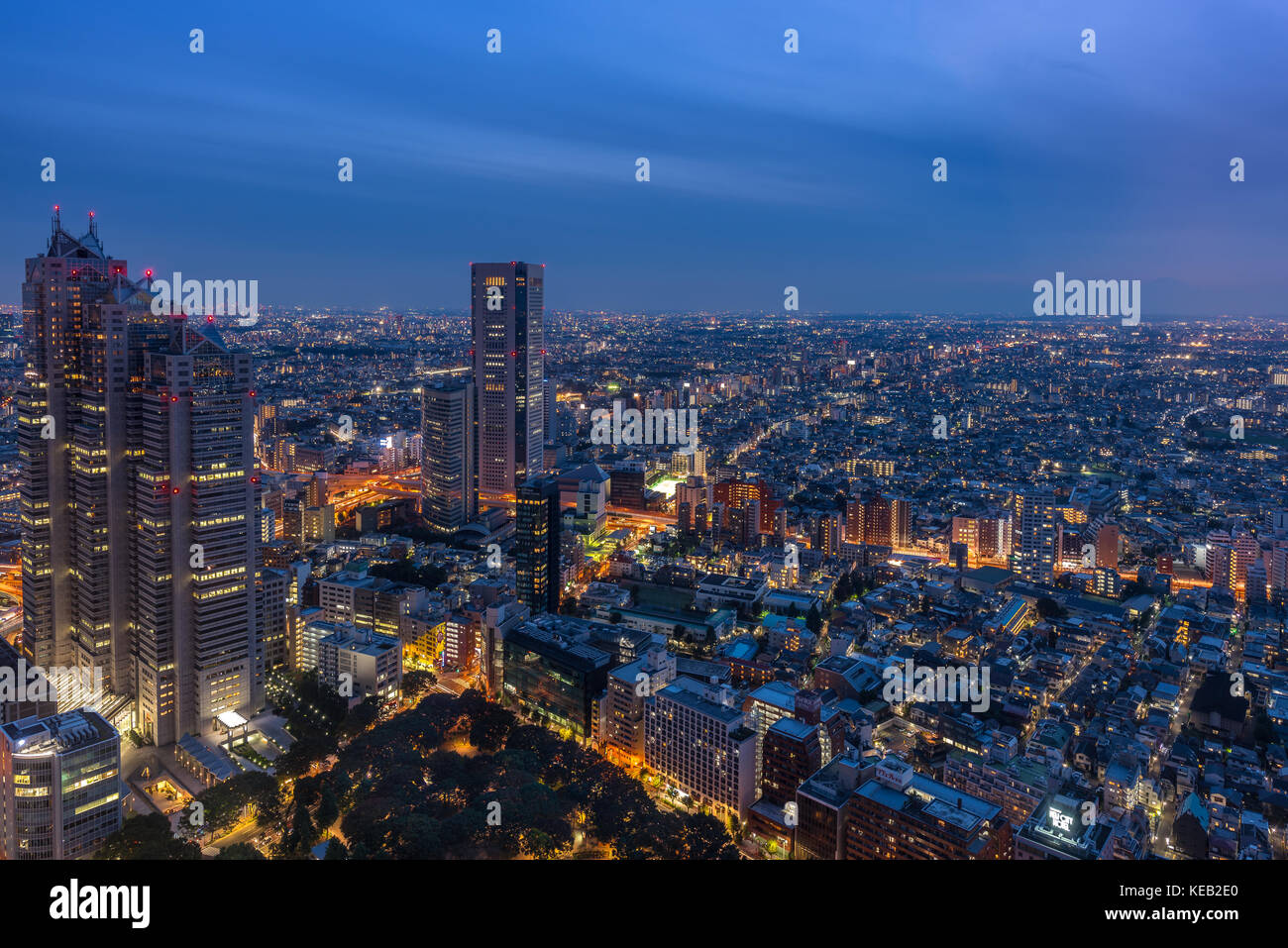 Tokyo cityscape during blue hour from metropolitan government office ...