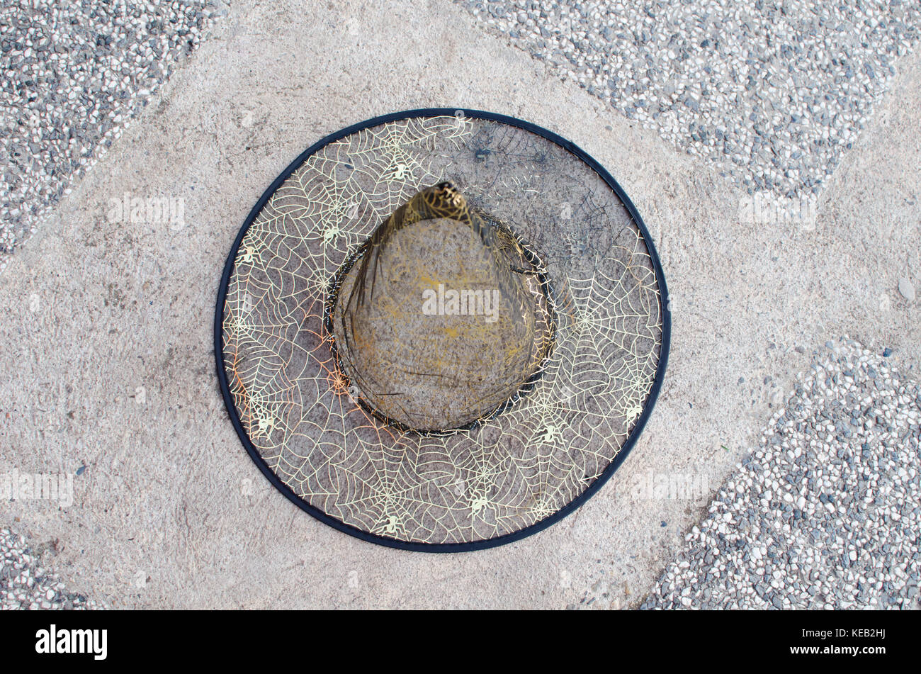transparent witch hat for Halloween top view abstract background Stock ...