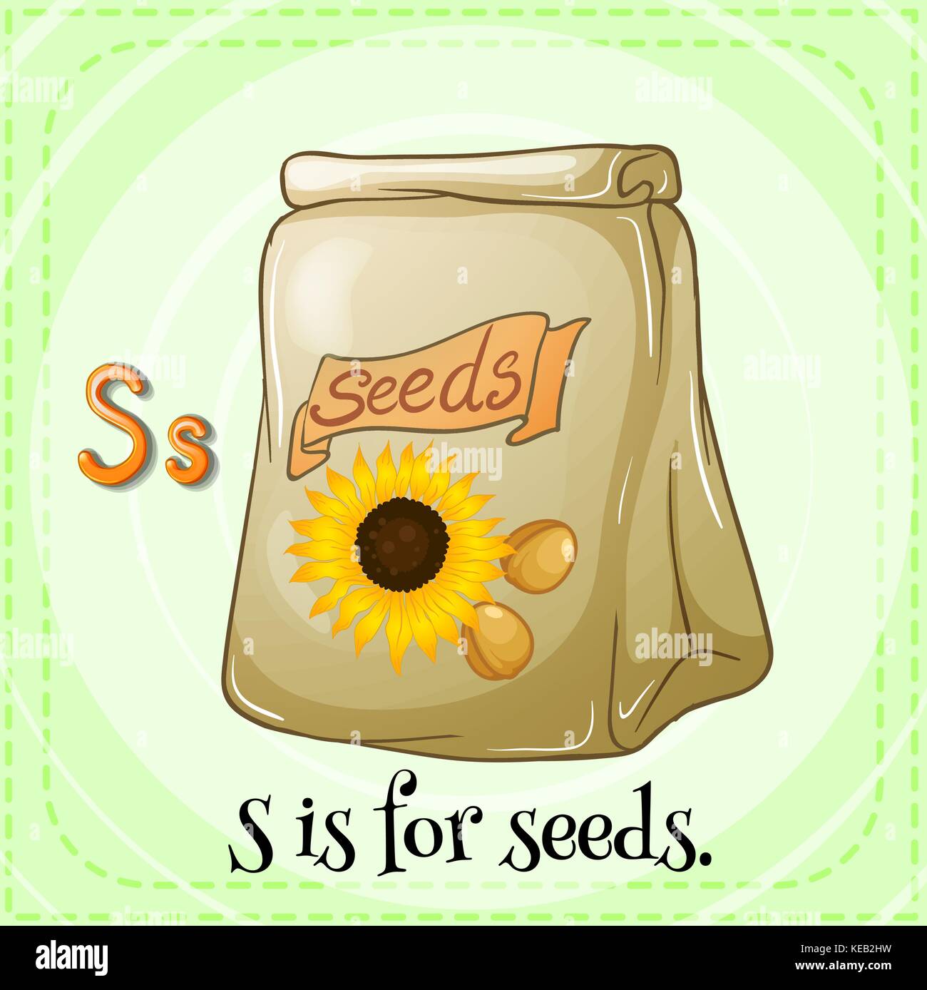 Kids learning seeds Stock Vector Images - Alamy