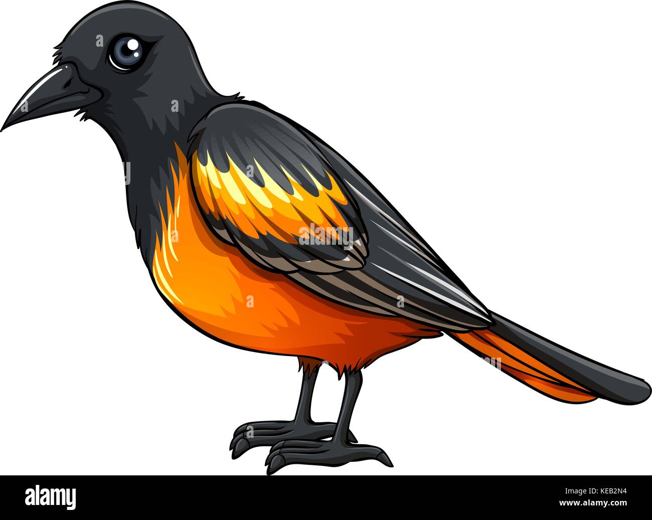 Closeup up on beautiful Stock Vector Images - Alamy