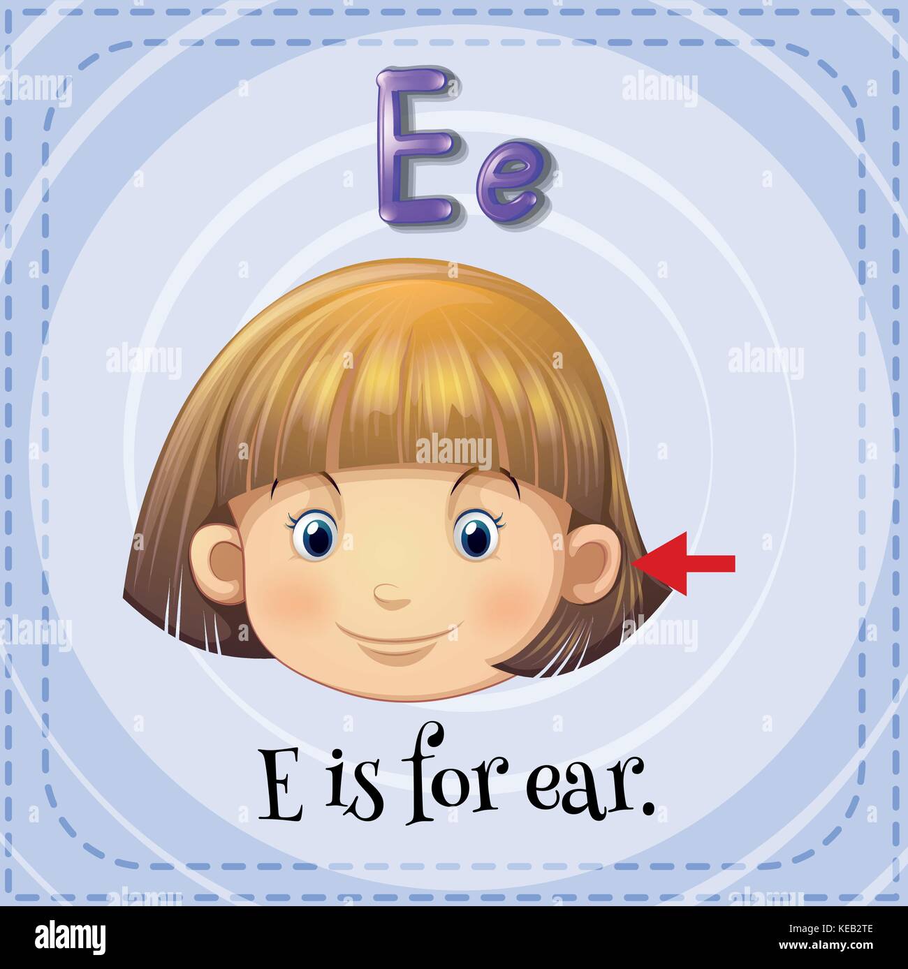 Flashcard letter E is for ear Stock Vector Art & Illustration, Vector ...