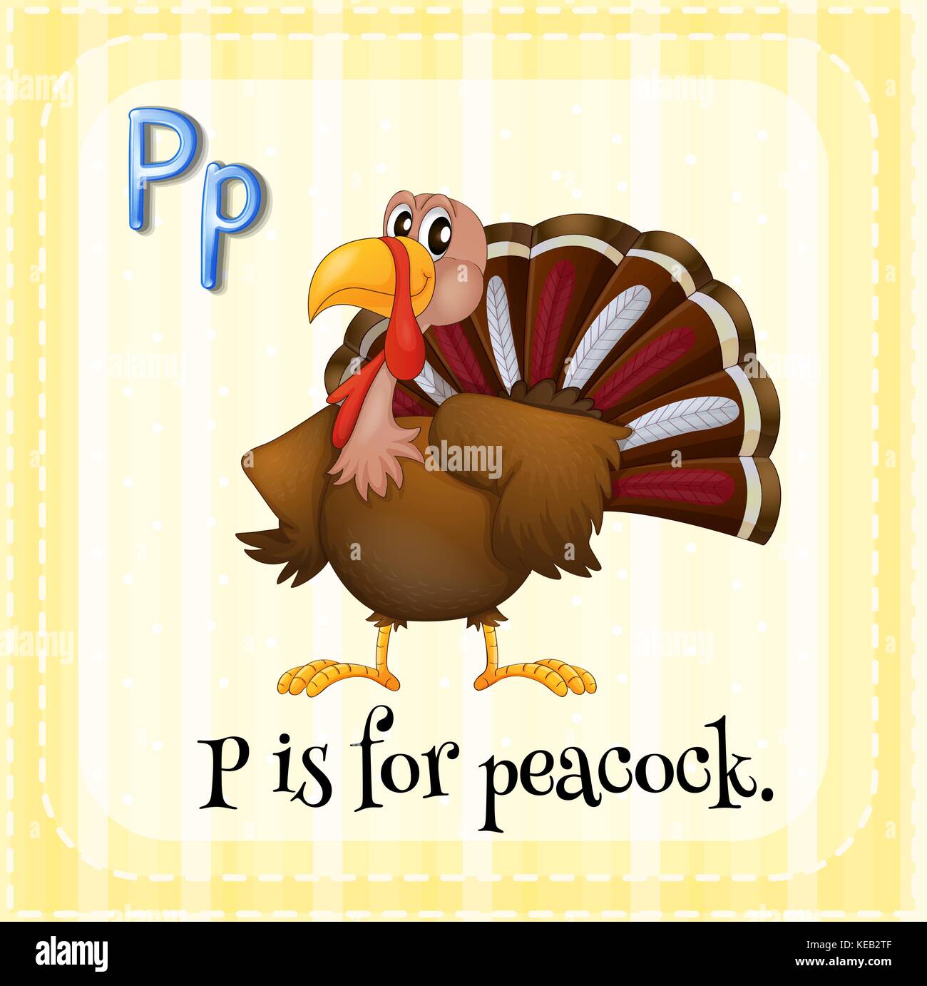 Flashcard letter P is for peacock Stock Vector Image & Art - Alamy