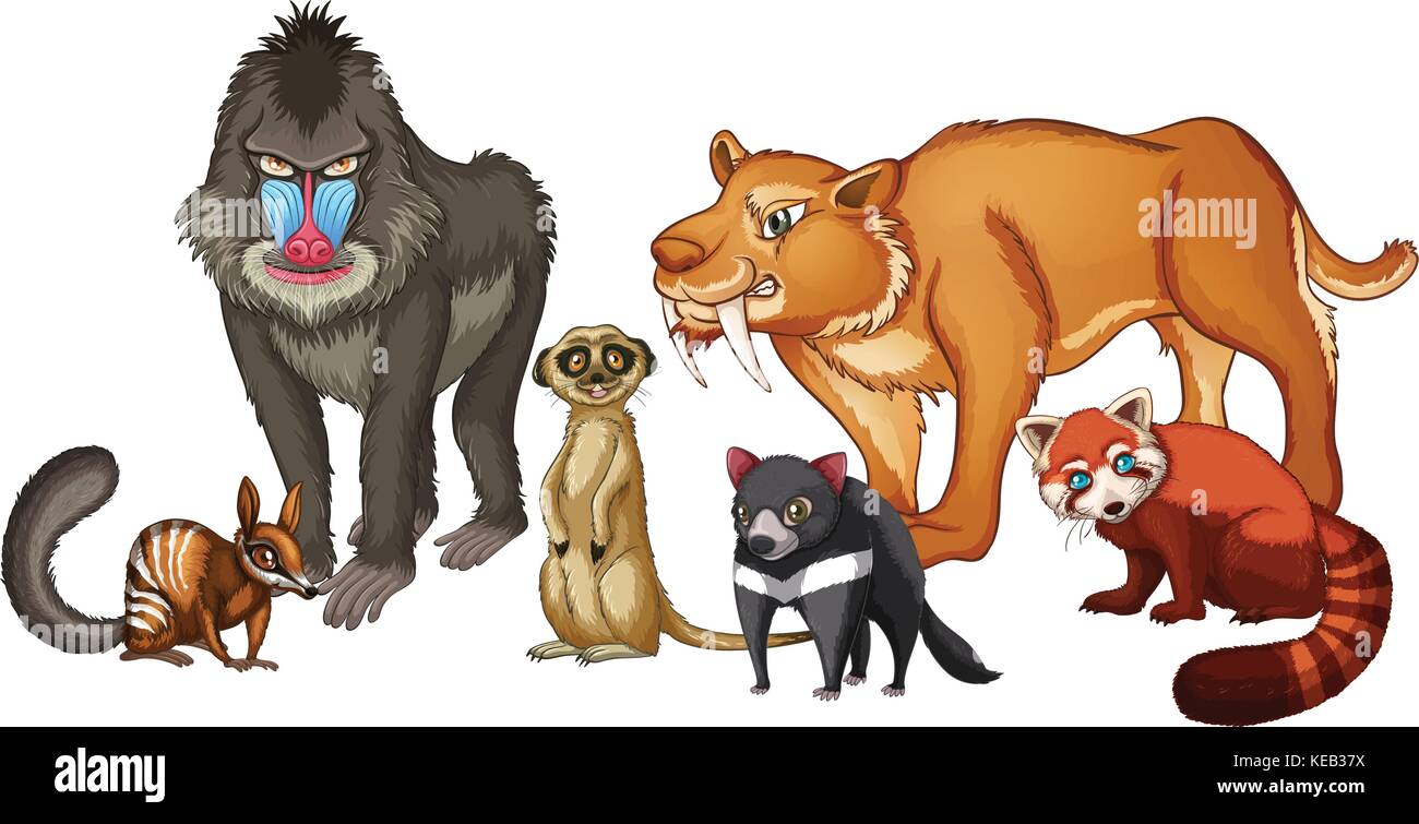 Kind animals Cut Out Stock Images & Pictures - Alamy