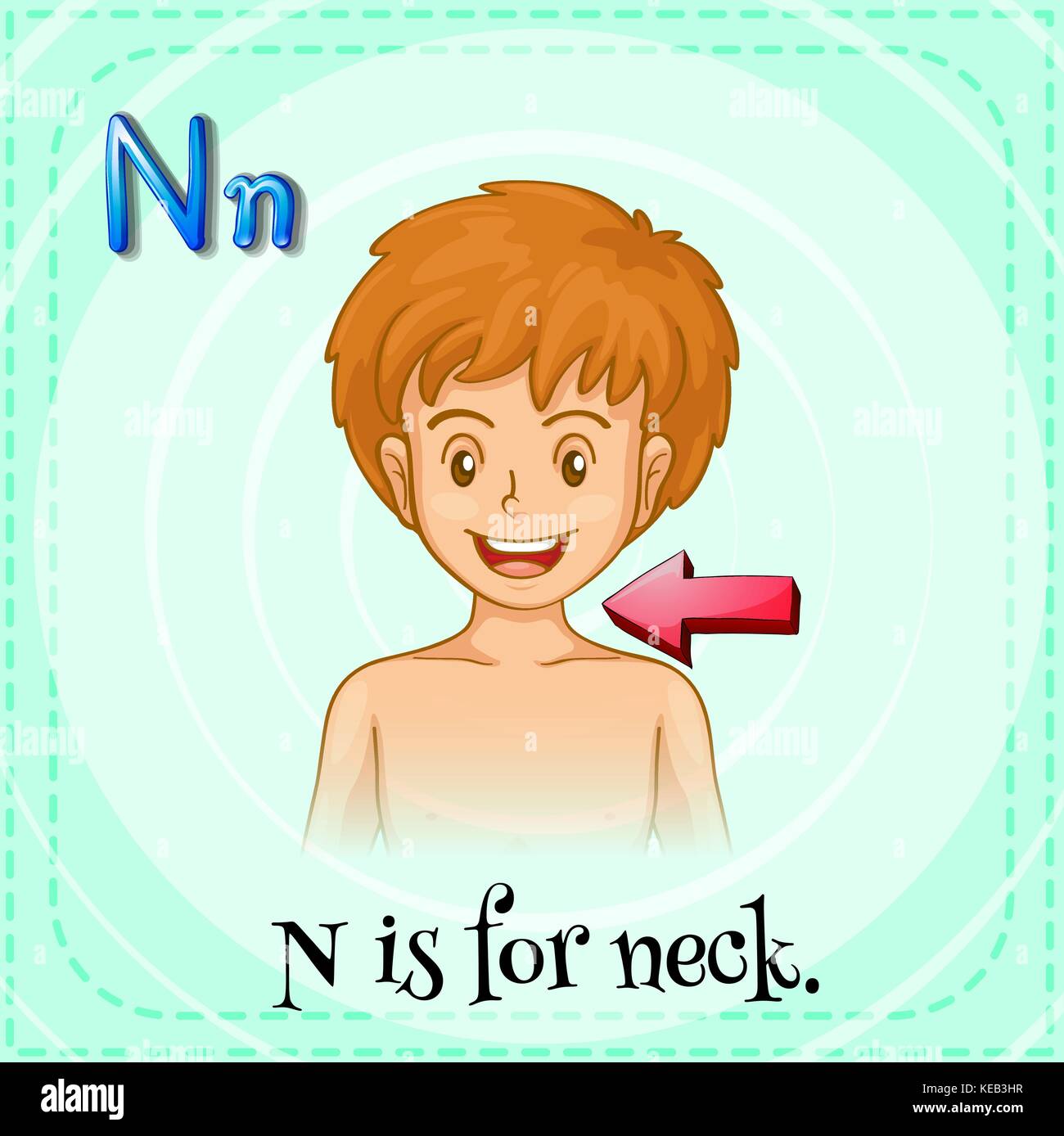 Flashcard letter N is for neck with green background Stock Vector Image ...