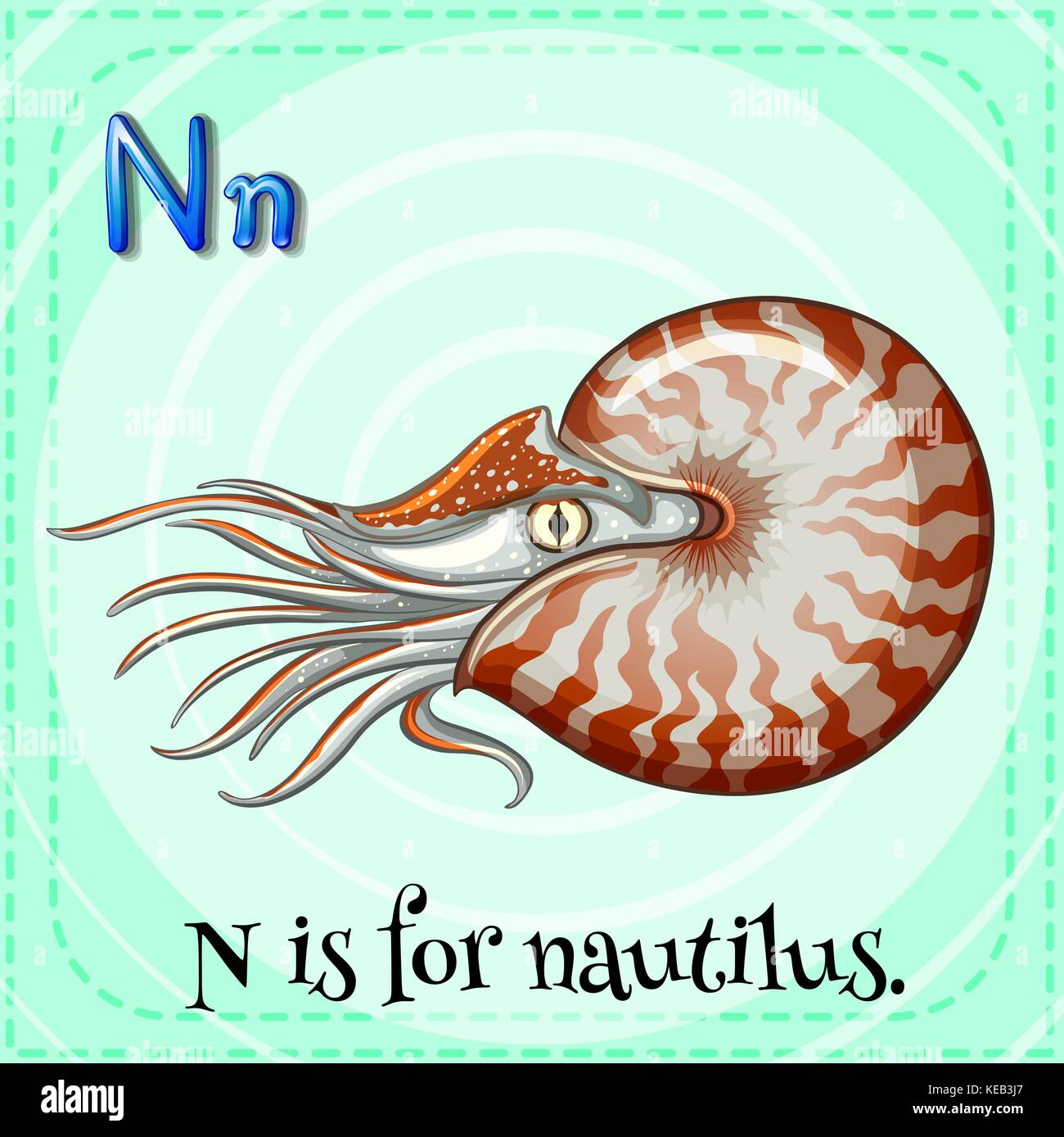 N for flashcard hi-res stock photography and images - Alamy