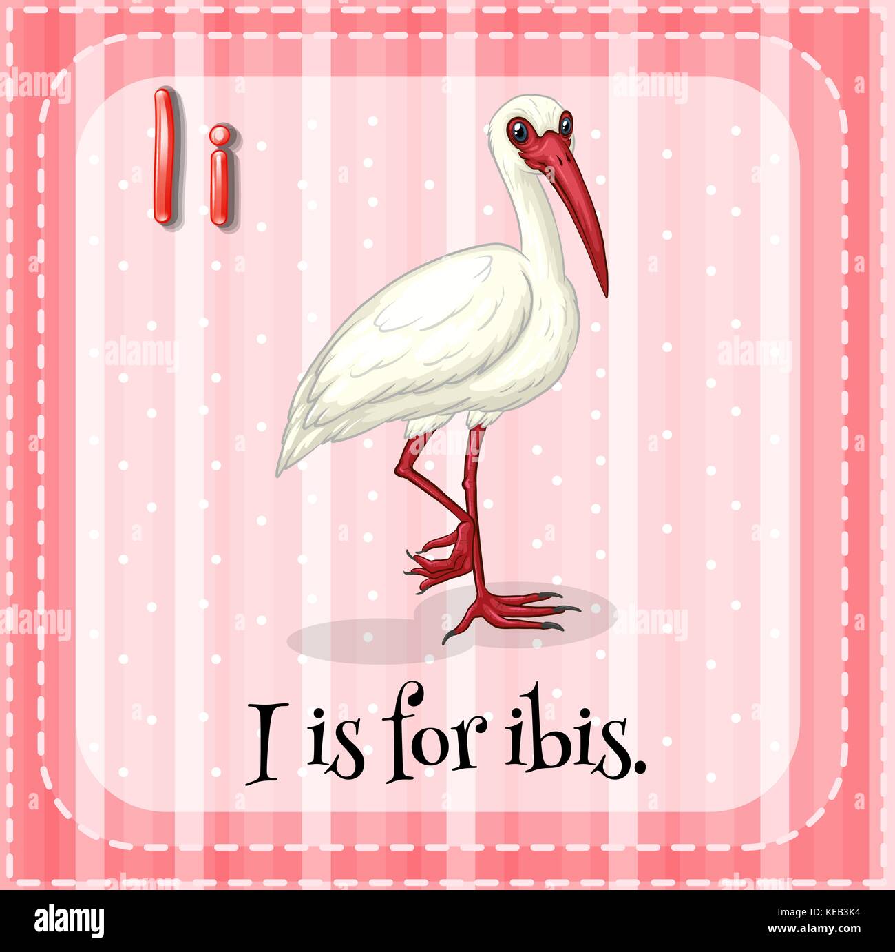 Flashcard letter I is for ibis Stock Vector Image & Art - Alamy
