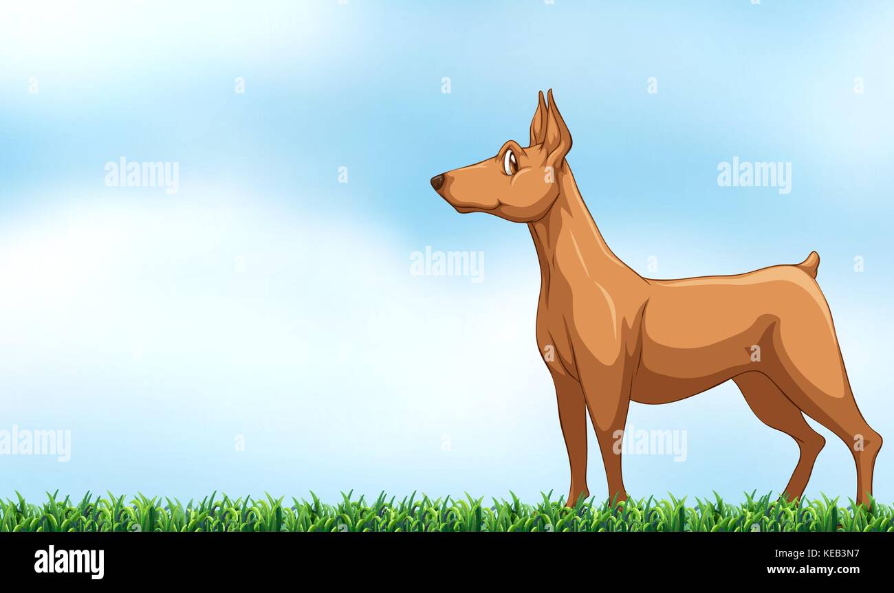 Illustration of a dog standing in the field Stock Vector Image & Art ...