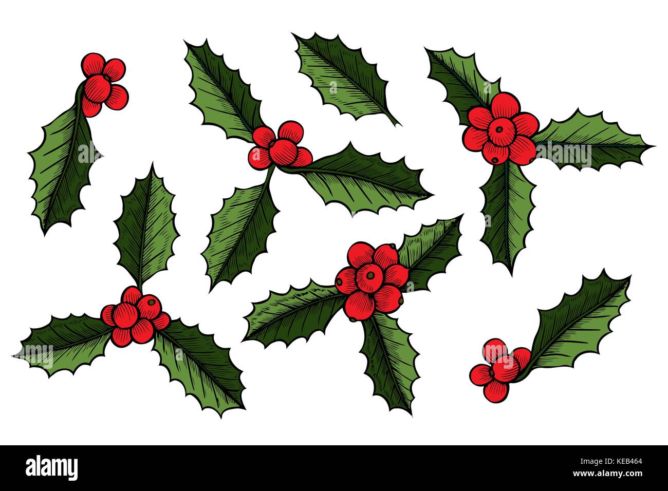 Set of Christmas mistletoe, holly berry with leaves. Hand drawn vector ...