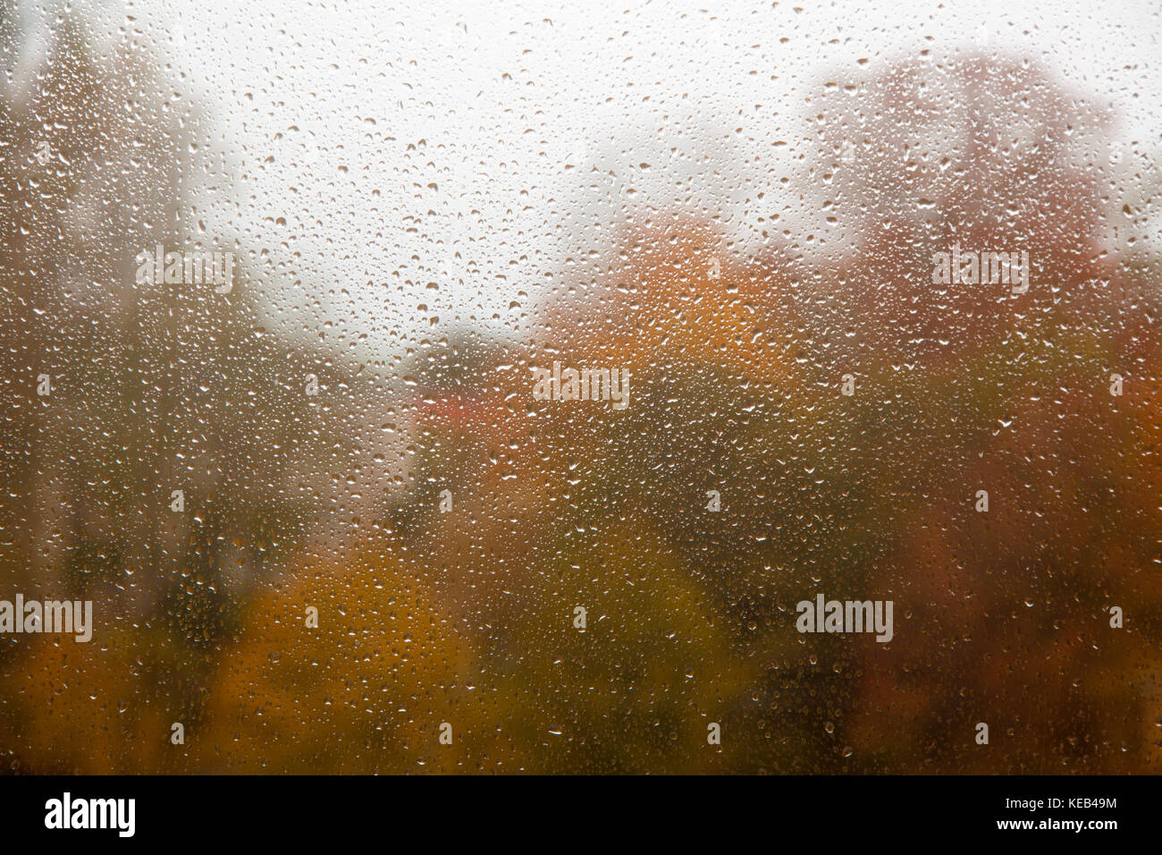 Rain drops on a window with yellow autumn trees behind Stock Photo - Alamy