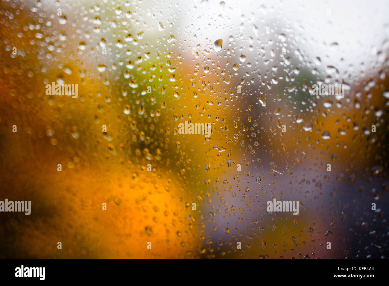 Rain drops on a window with yellow autumn trees behind Stock Photo - Alamy