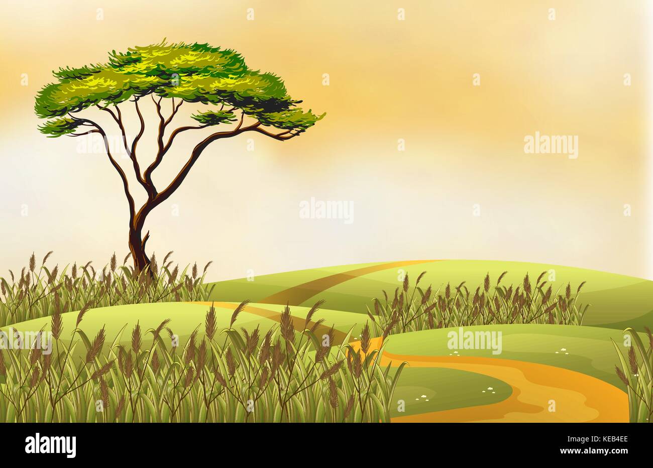 Illustration of a single tree on a hill Stock Vector Image & Art - Alamy