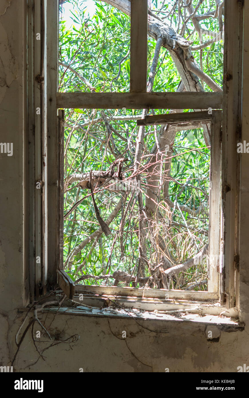 Windows in abandoned house Stock Photo - Alamy