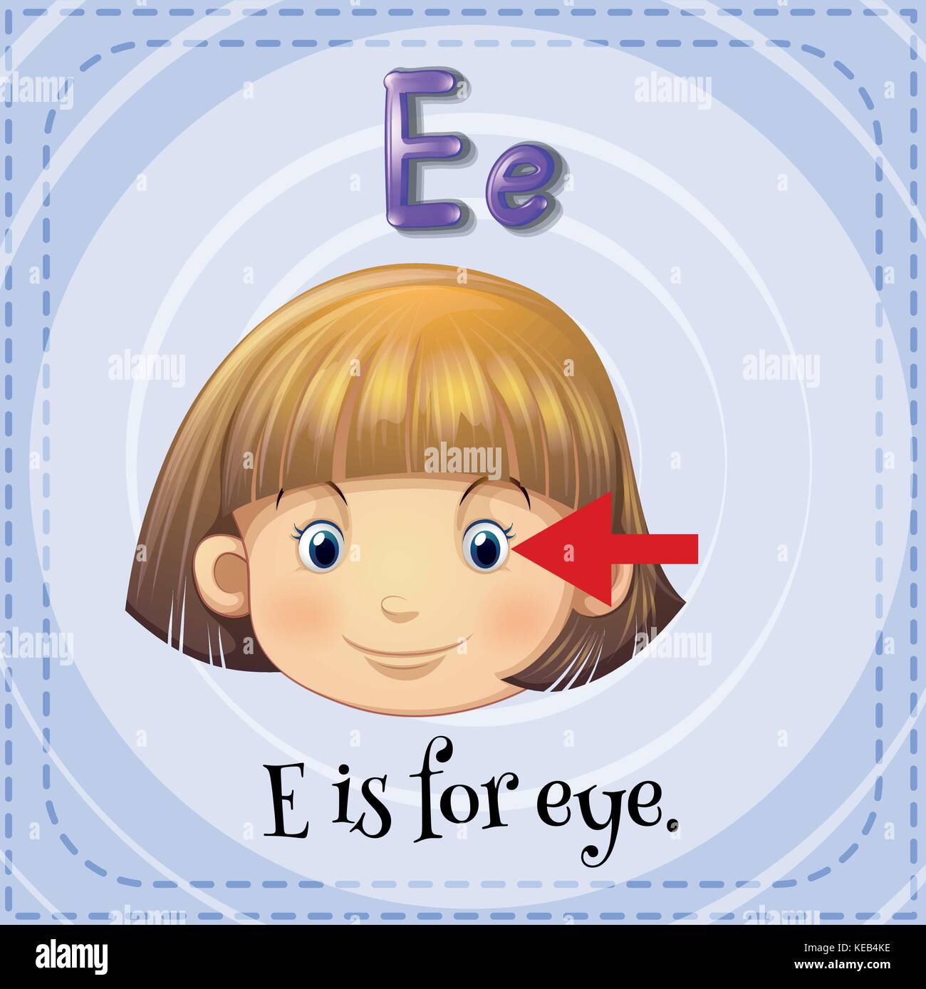 Flashcard letter E is for eye Stock Vector Image & Art - Alamy