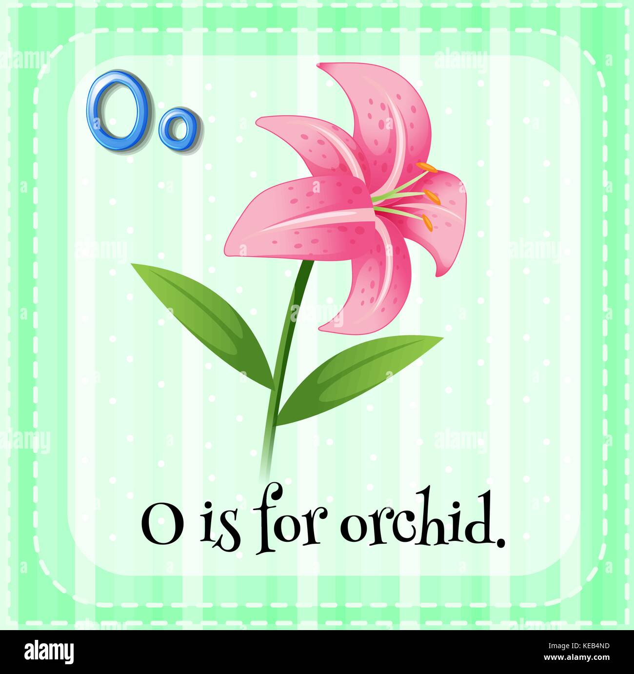 Flash card letter O is for orchid Stock Vector Image & Art - Alamy