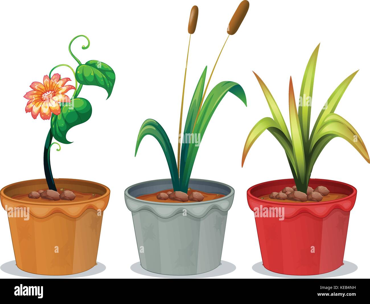 Free Clipart Potted Plants
