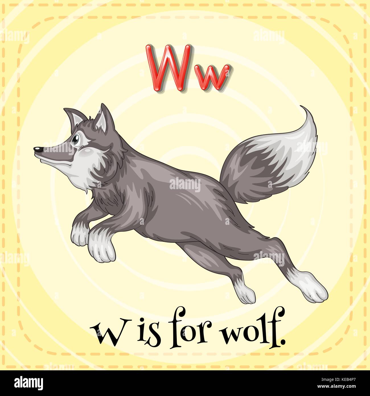 Flashcard letter W is for wolf Stock Vector Image & Art - Alamy