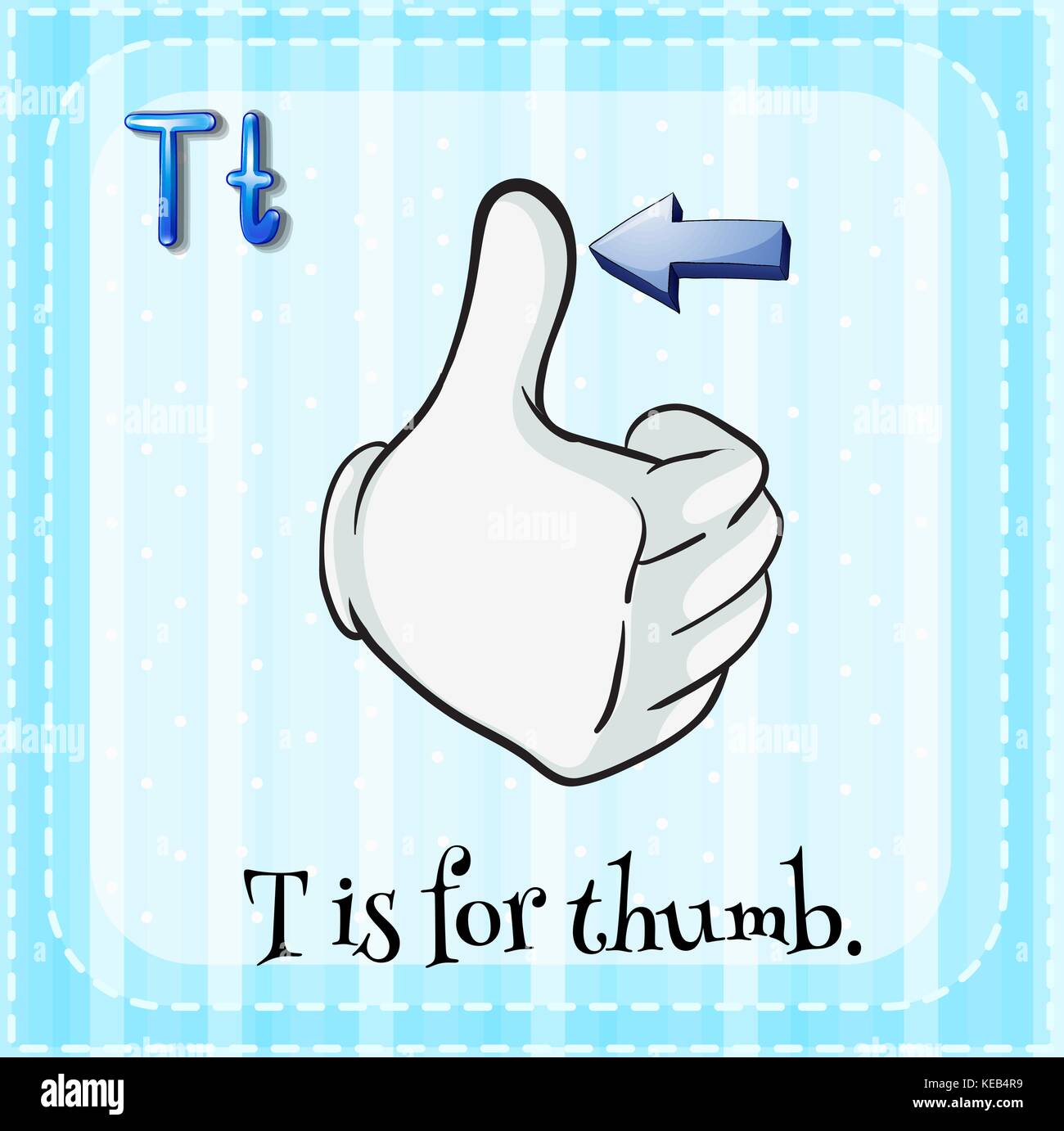 Flashcard letter T is for thumb Stock Vector Image & Art - Alamy