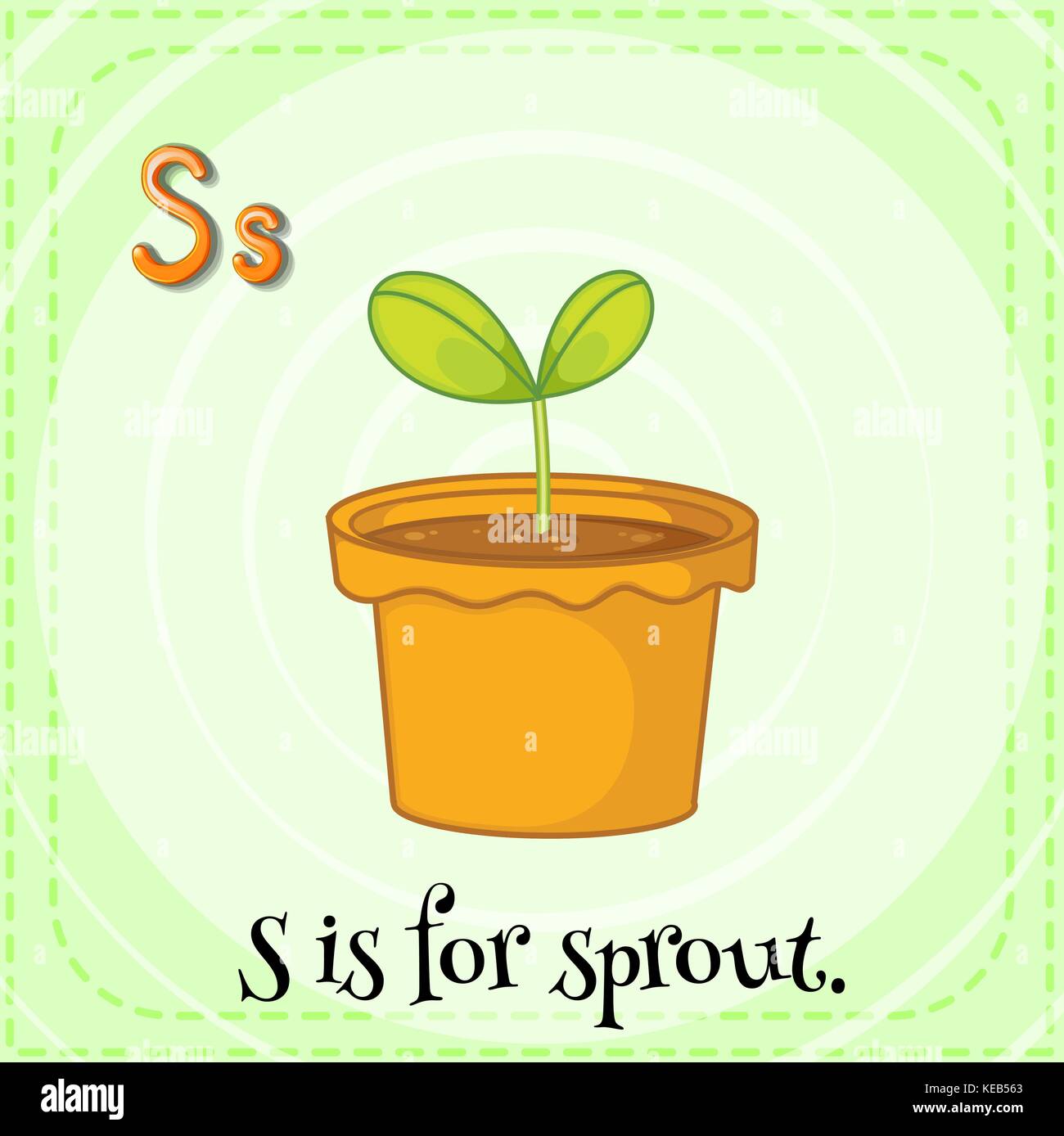 Flashcard letter S is for sprout Stock Vector Image & Art - Alamy
