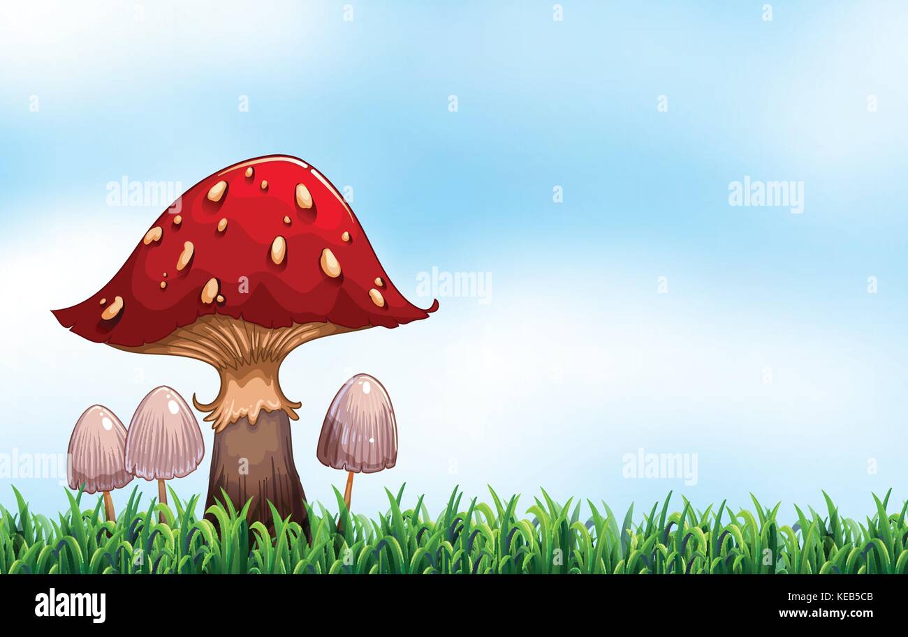 Close up mushroom on the field Stock Vector Image & Art - Alamy