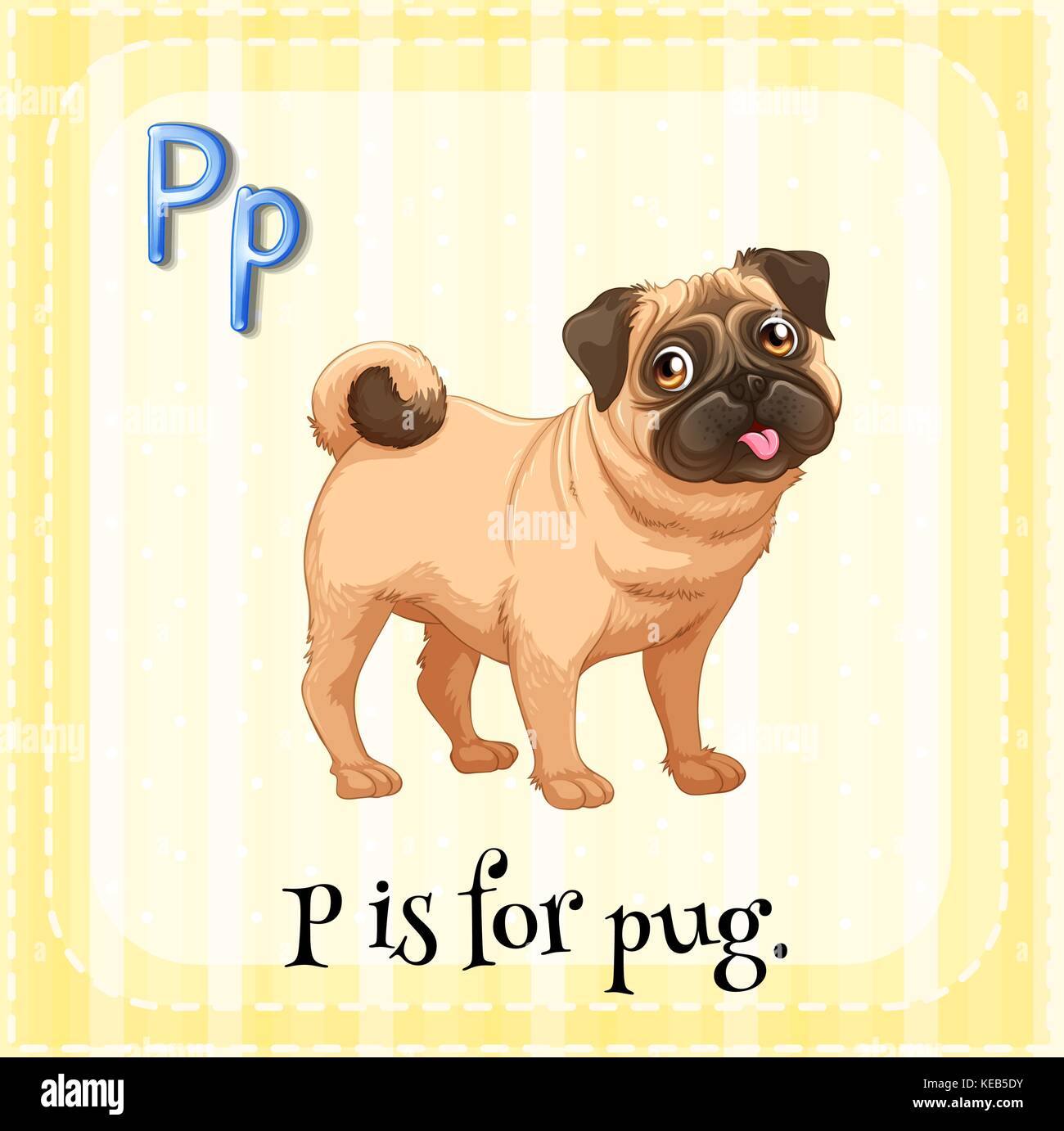 Flashcard alphabet P is for pug Stock Vector Image & Art - Alamy