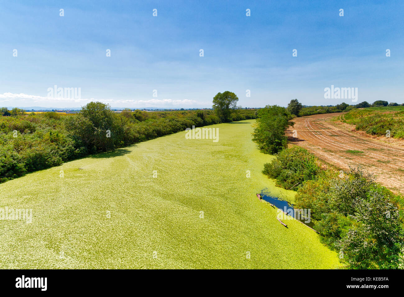 Algae on river hi-res stock photography and images - Alamy