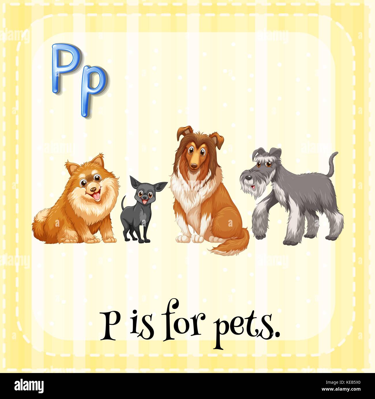 Flashcard alphabet P is for pets Stock Vector Image & Art - Alamy