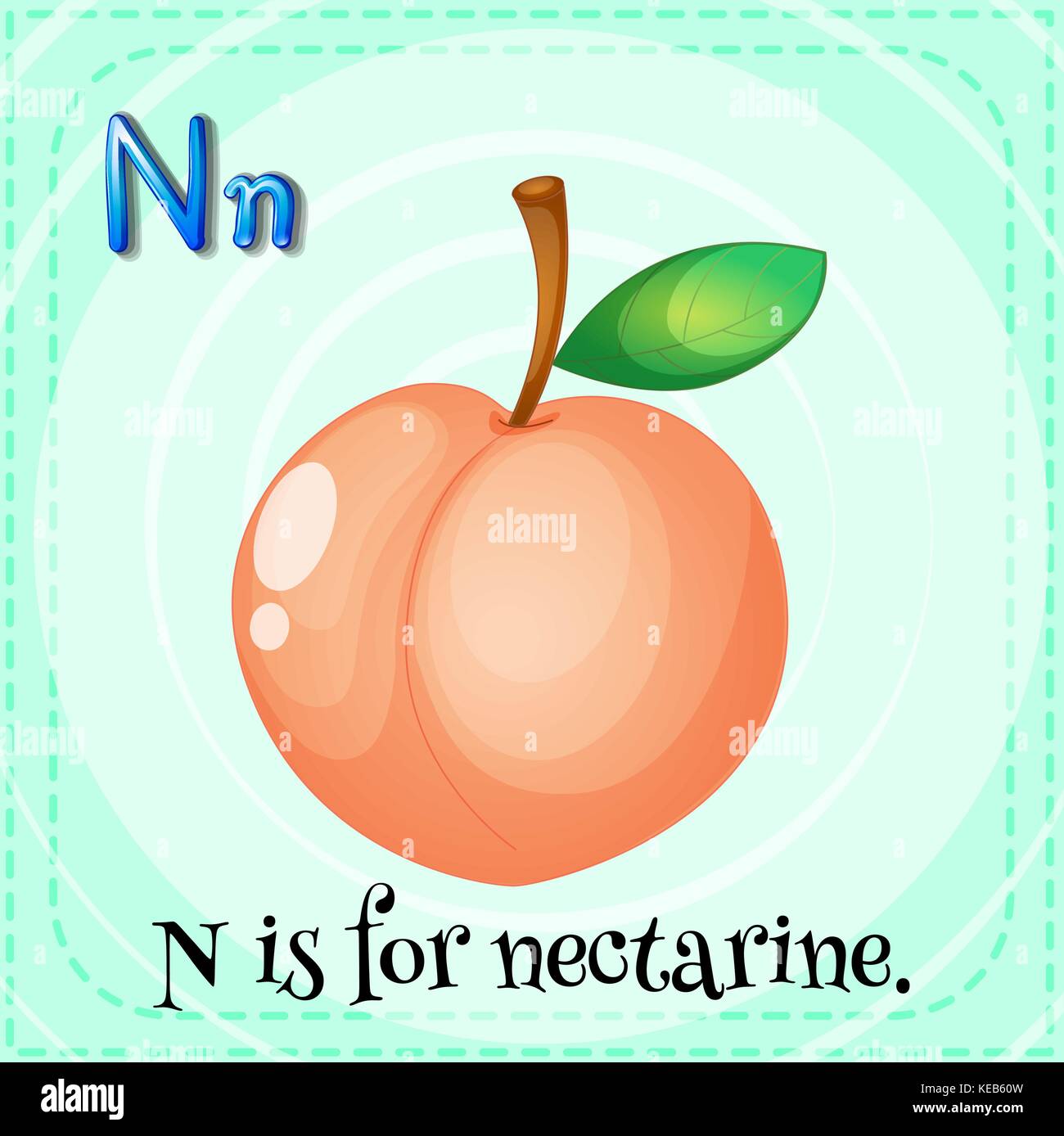 Flashcard letter N is for nectarine Stock Vector Image & Art - Alamy