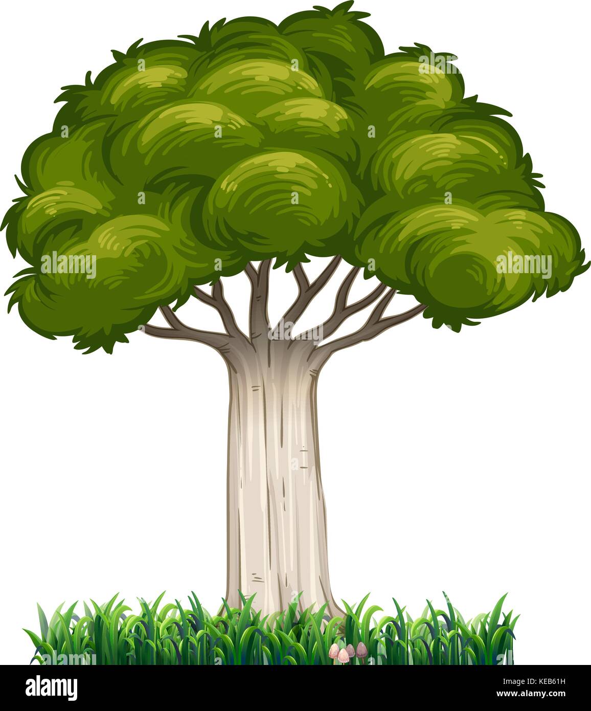 Closeup single tree with grass underneath Stock Vector Image & Art - Alamy